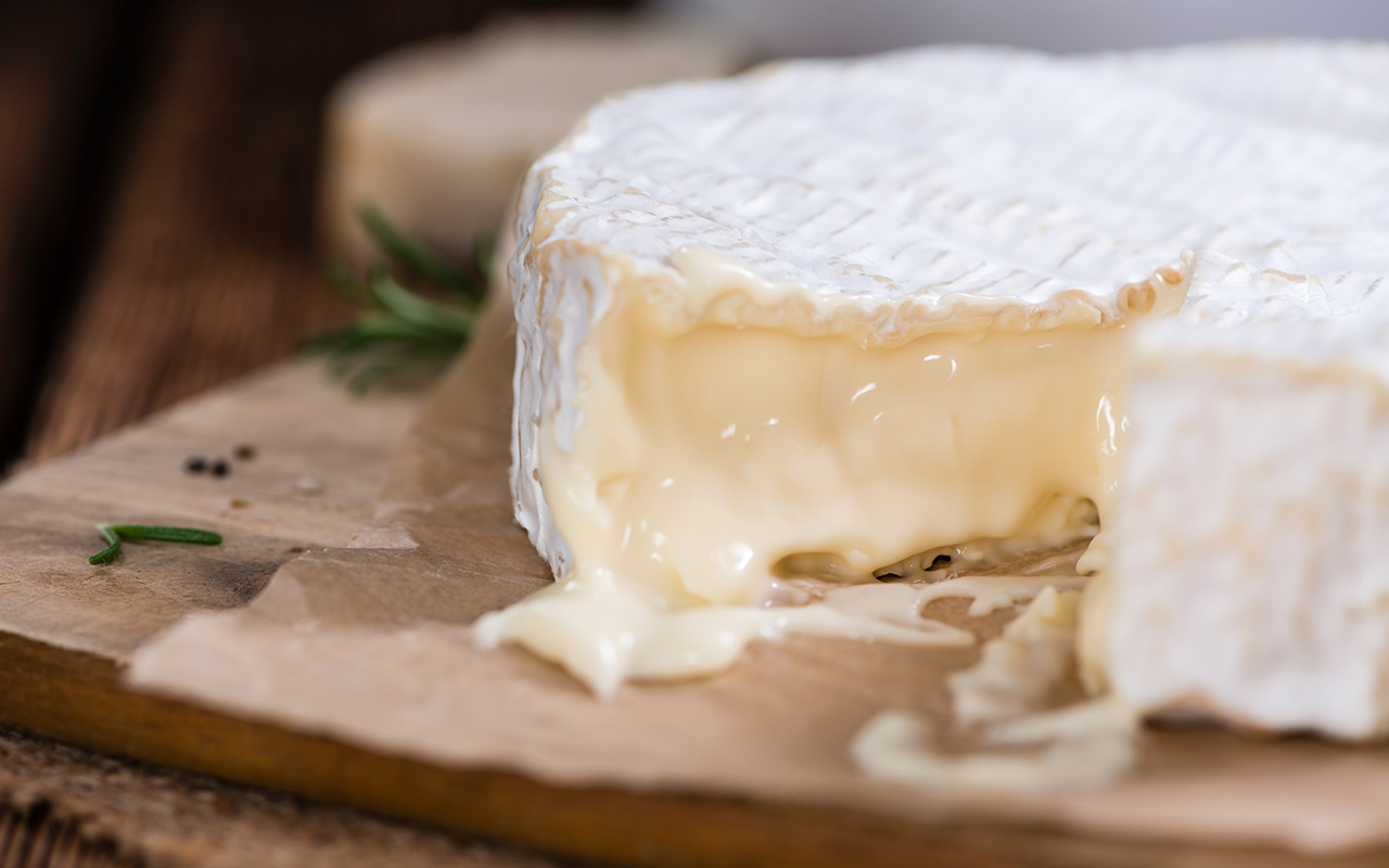 Facts Information and News about Cheddar Stilton Brie Cheese