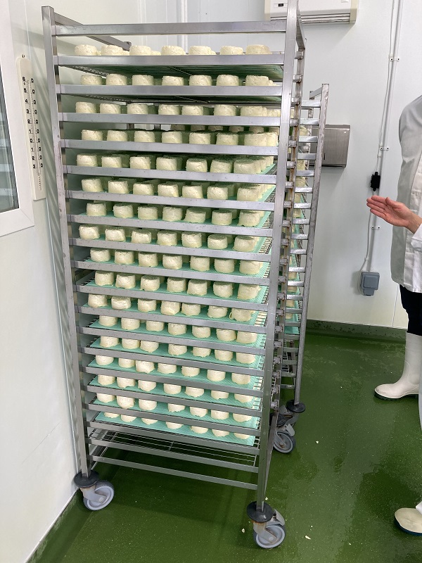 Meet the Makers... Nettlebed Creamery, home of Bix cheese - Pong Cheese