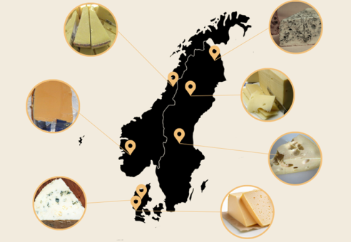 A Tour of Scandinavian Cheese - Pong Cheese
